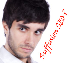 Migrating Suffusion SEO options for posts | Drafie's Design